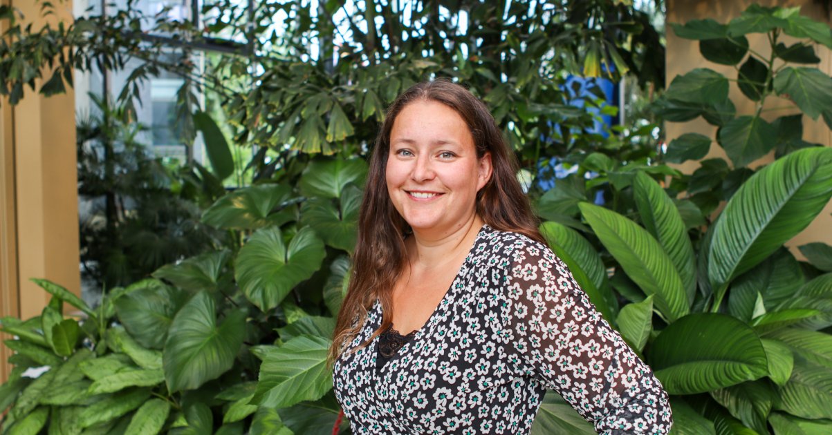 Open application | Planon